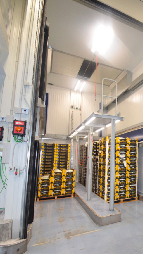 Servicios | Agro.Red