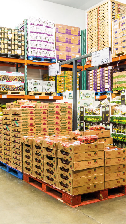 Servicios | Agro.Red