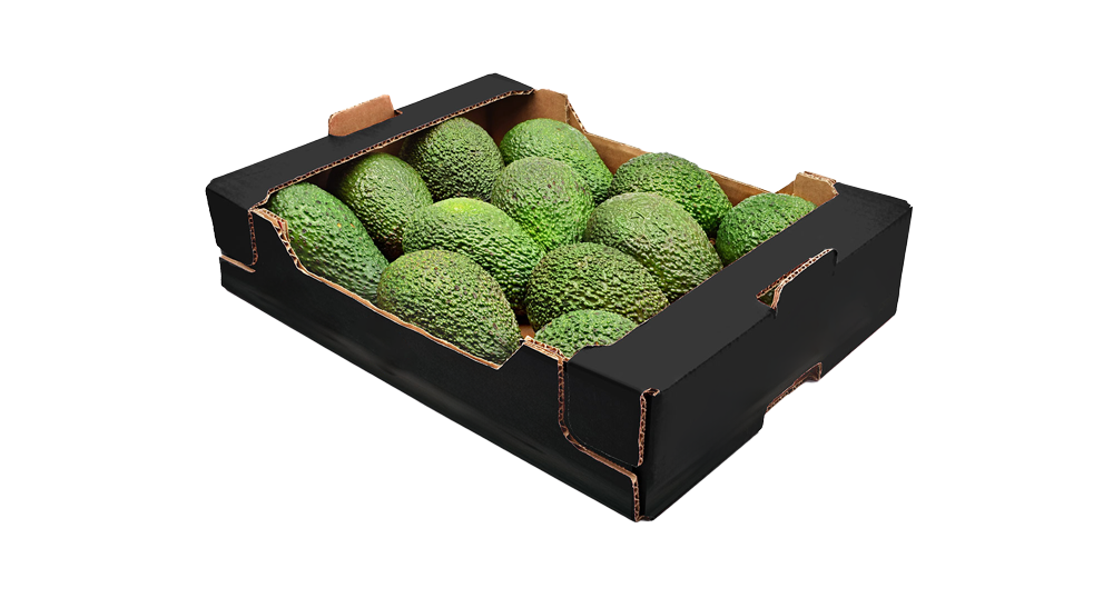 Envasado de Aguacate